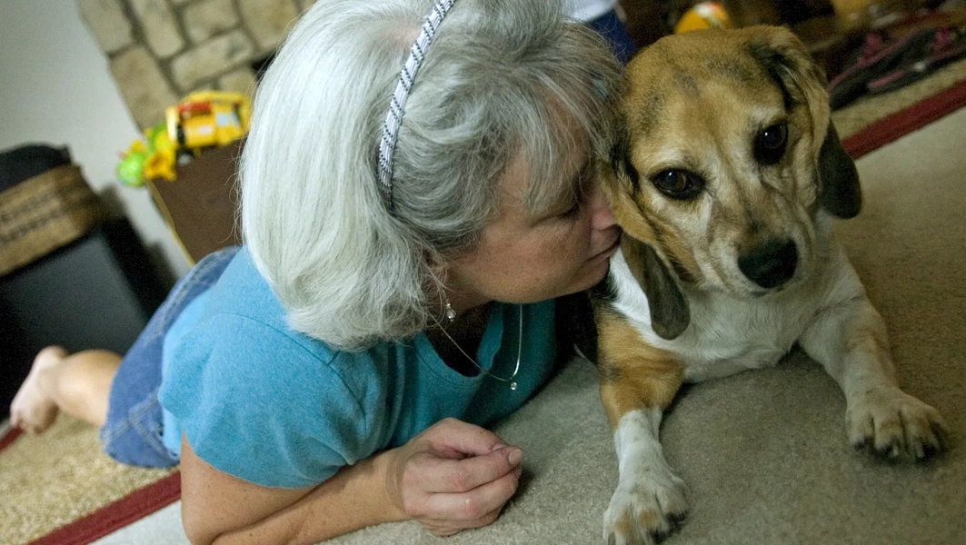 Caring for dogs in their final days