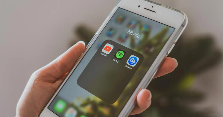 The Surprising Amount Americans Pay on Unused Subscriptions (And How to ...