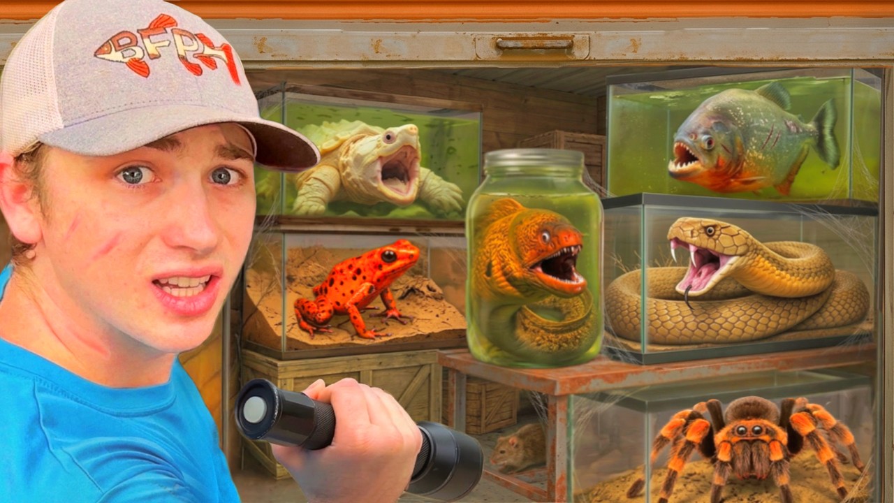 I thought it was just storage… then the tarantula showed up
