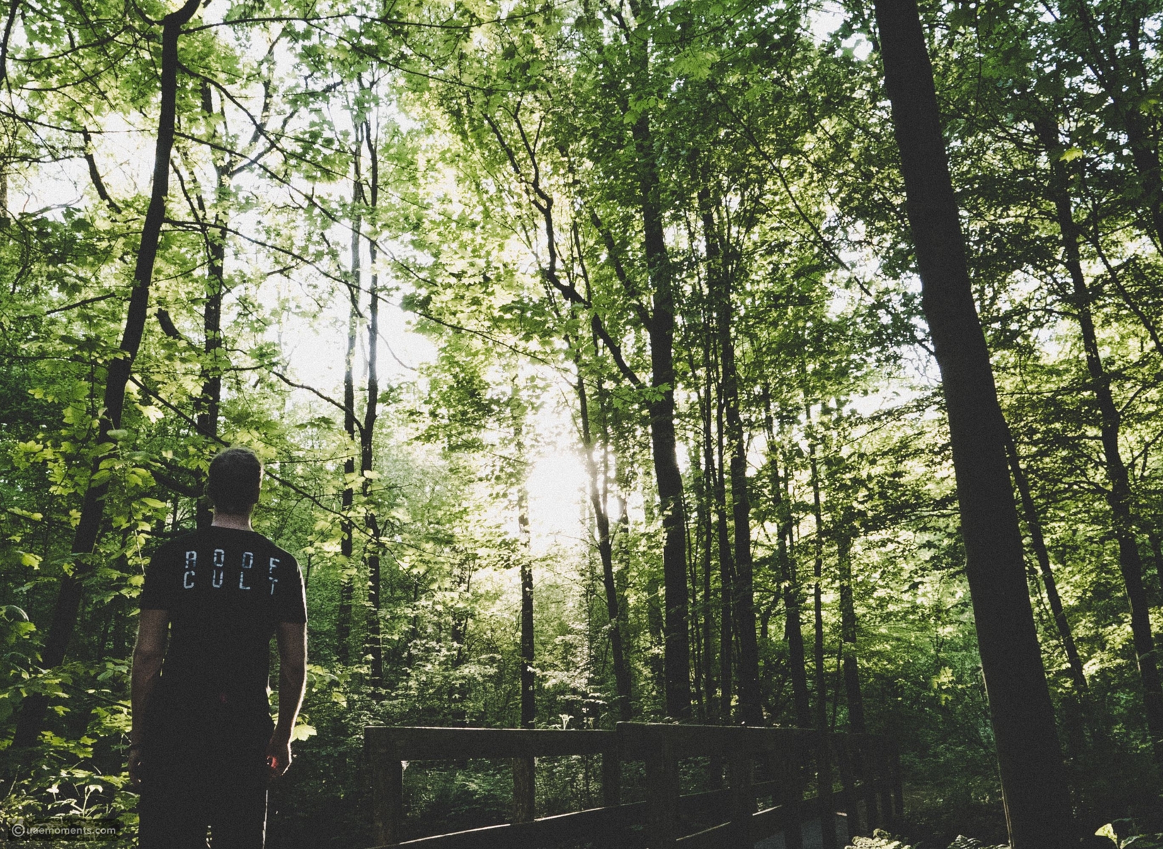 Spend 30 minutes in nature each morning to boost focus and mental ...