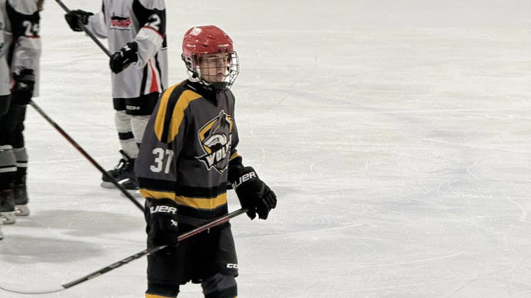 From lockdown learn-to-skate to provincial ice: The Howie brothers ...