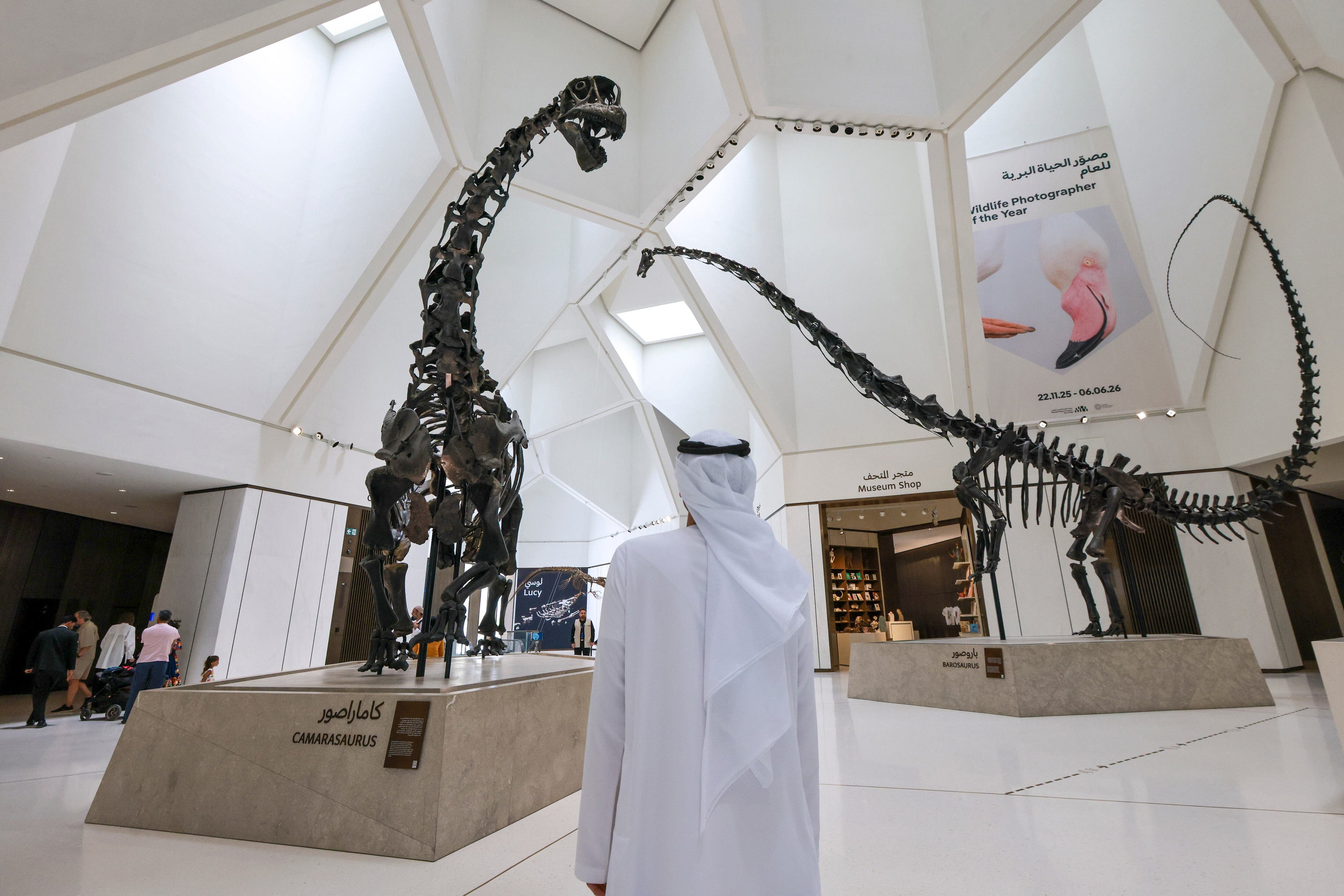 Dinosaurs take over Natural History Museum Abu Dhabi for Dino Month