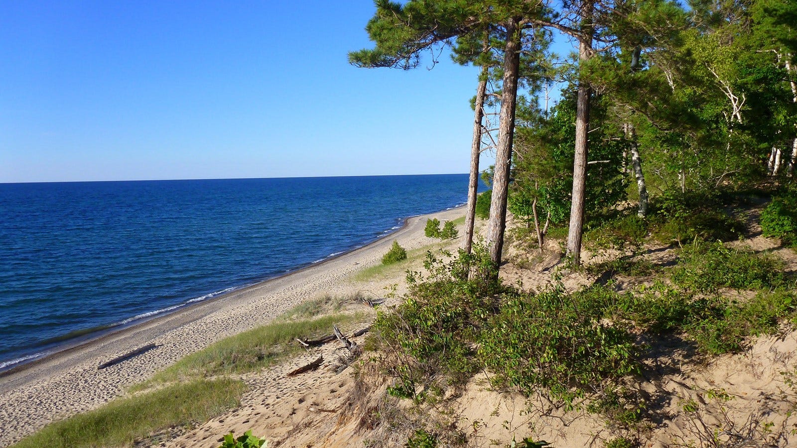 What's your favorite Michigan beach? Take the LSJ poll