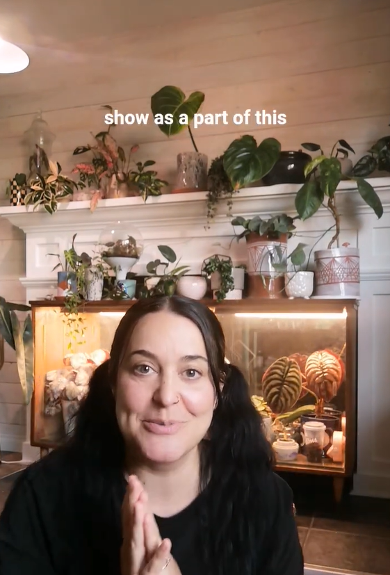 Plant show story time: Rare tropical plants & Monstera highlights