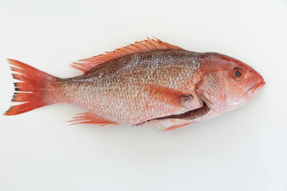 Seafood fraud: 8 fish you think you're ordering that are actually ...