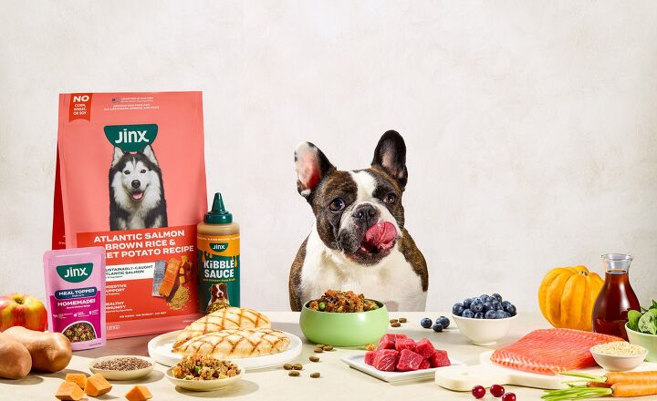 Your dog's mealtime and snacktime just got better with Jinx