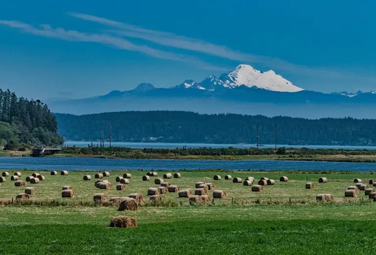 Pacific Northwest travelers are finding paradise in this hidden island ...