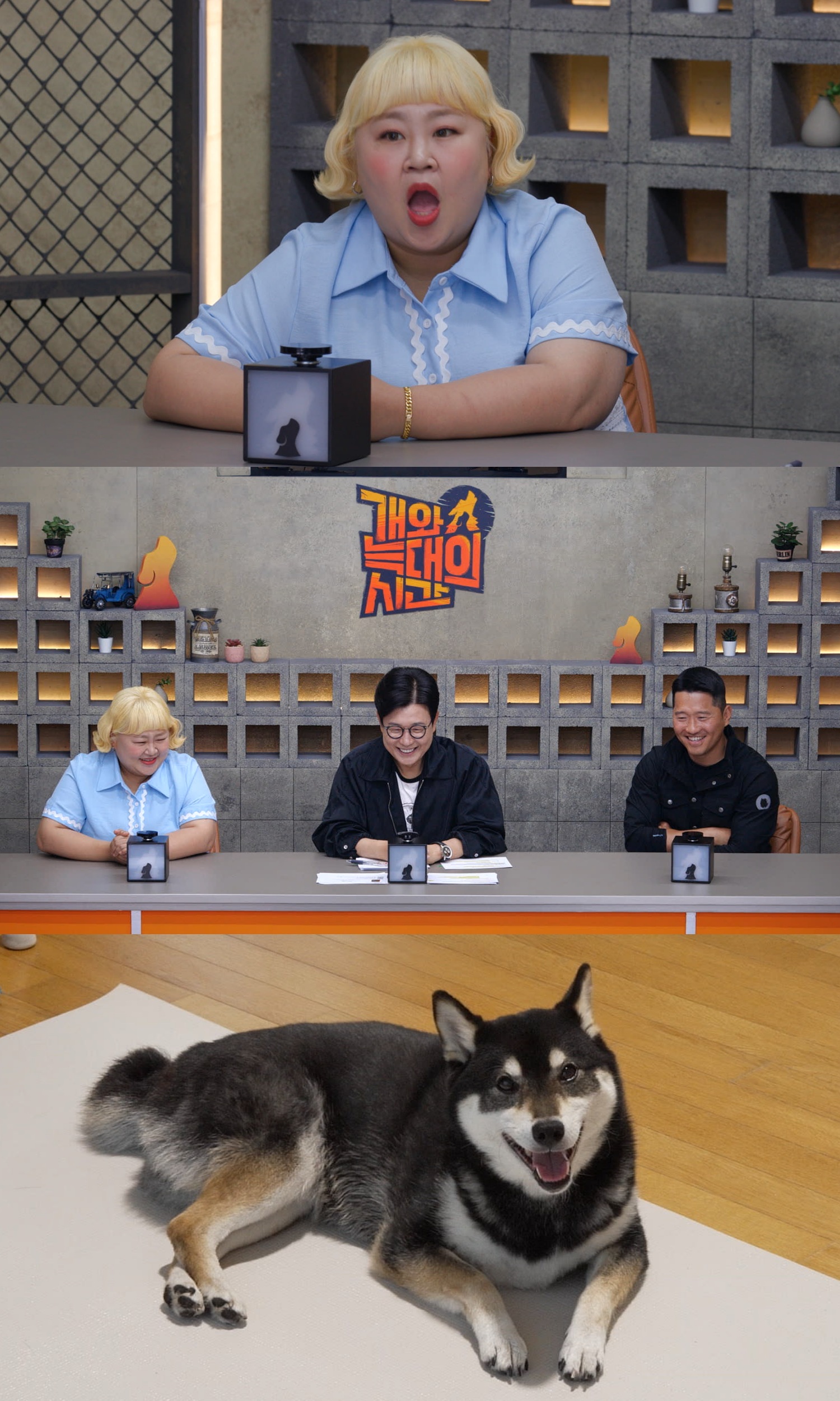 홍윤화, '개늑시2' 스페셜 MC 출격…강형욱과 재회
