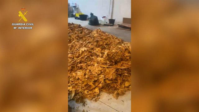 Sucesos.- Desmantelada en La Palma del Condado una fábrica ilegal de ...