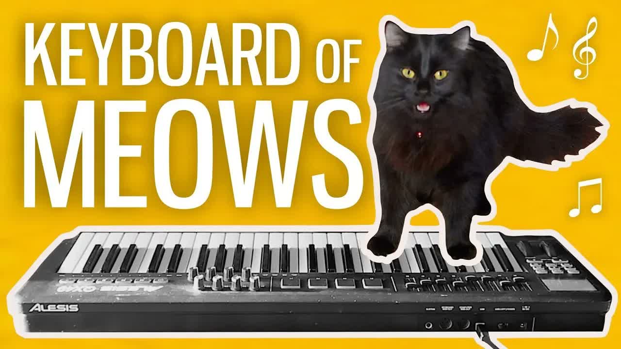 A keyboard made entirely from cat meows