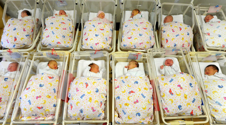 German population stagnates as net migration and birth rate decline