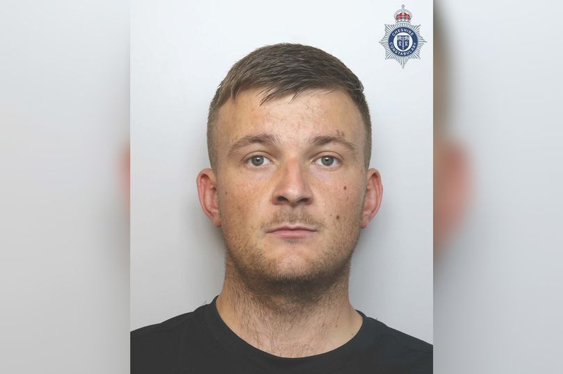 Dealer caught after man 'emerged from bushes'