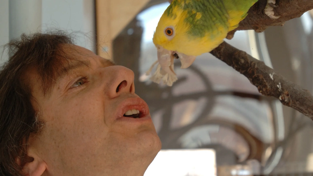 11 animals that make dangerous or difficult pets