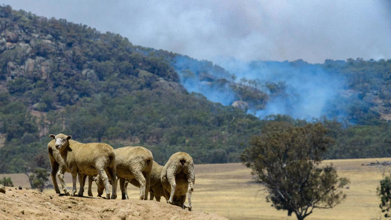 'Supercharged': El Nino brings drier, hotter conditions