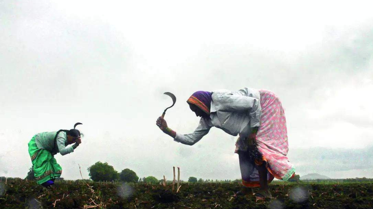 El Nino to hit 9-10 states severely; Chouhan calls for district-level ...