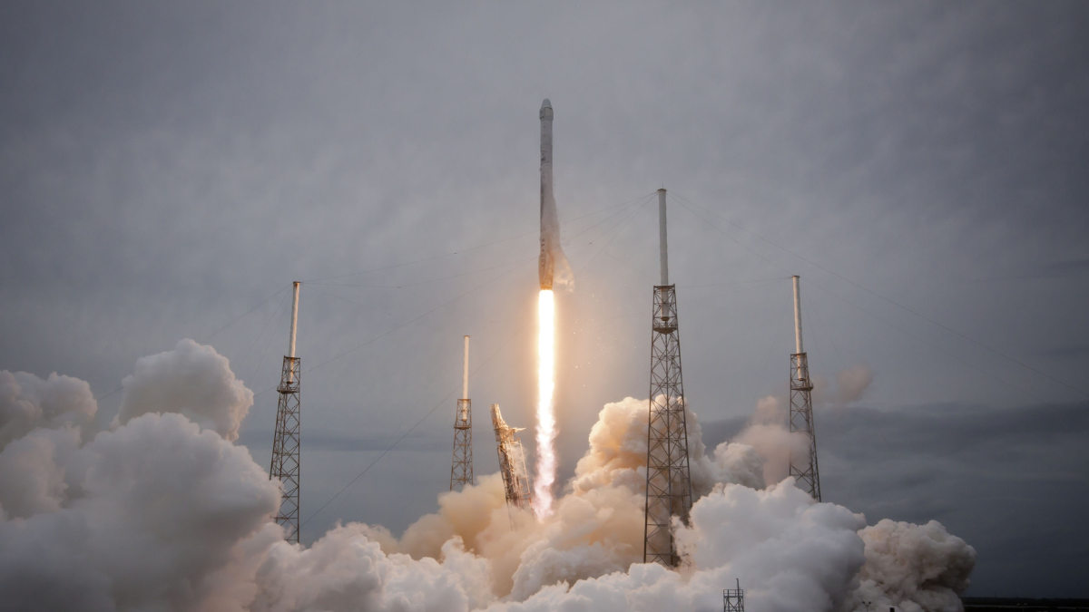 Hon satsar mer än tio miljarder kronor – på Elon Musk