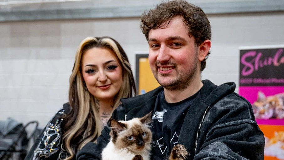 10 cat breeds known for deep human bonds