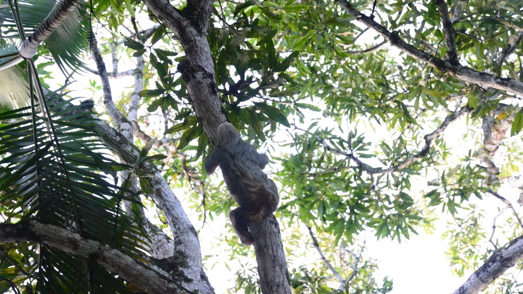 6 secluded beaches across Costa Rica