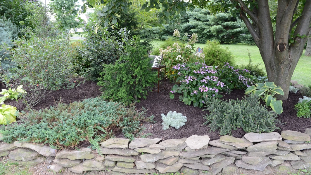 15 creative DIY garden edging ideas