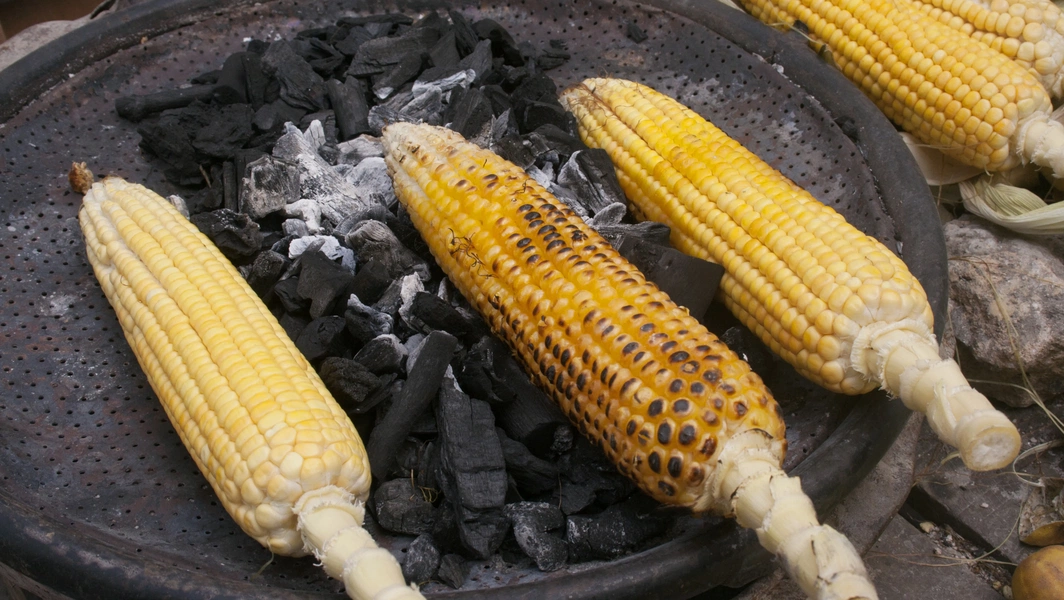 Veterinarians warn of hidden summer cookout dangers for pets