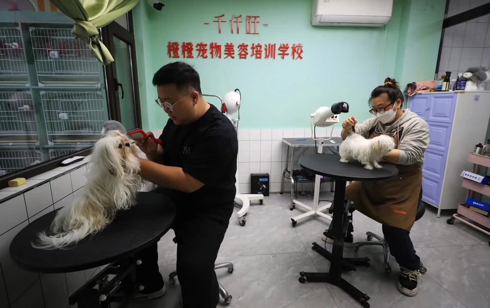 Ancient dog instincts meet booming modern pet care in China