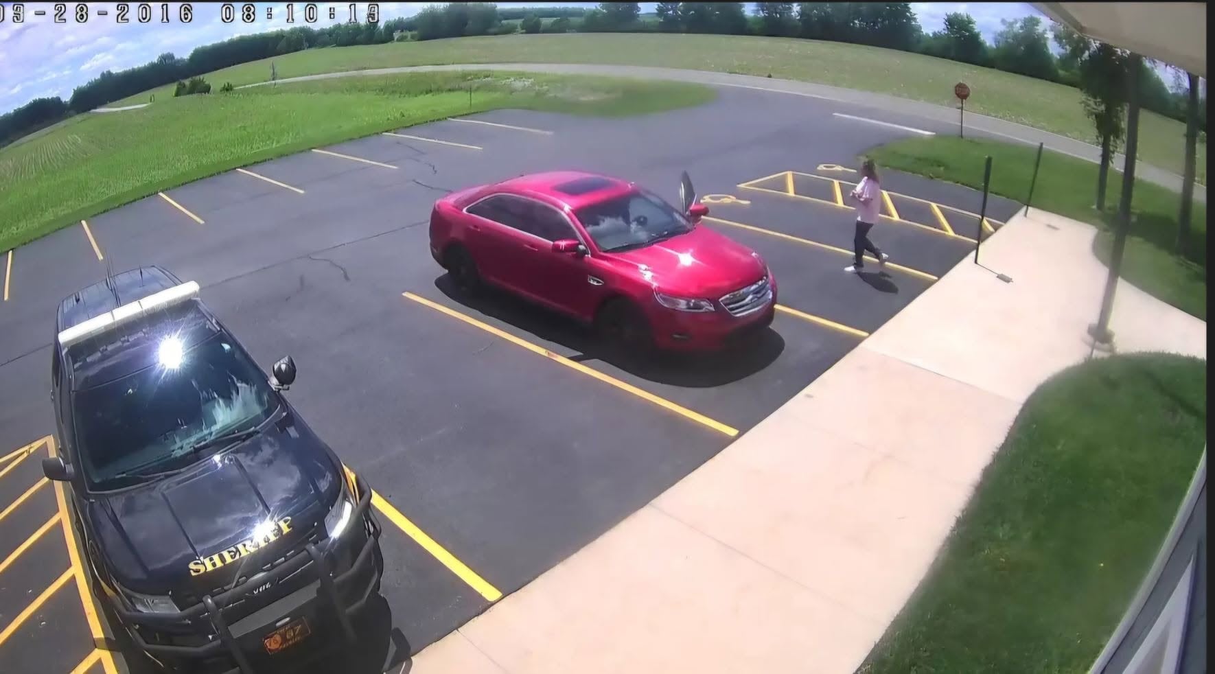 Local animal shelter searching for woman accused of dumping kitten
