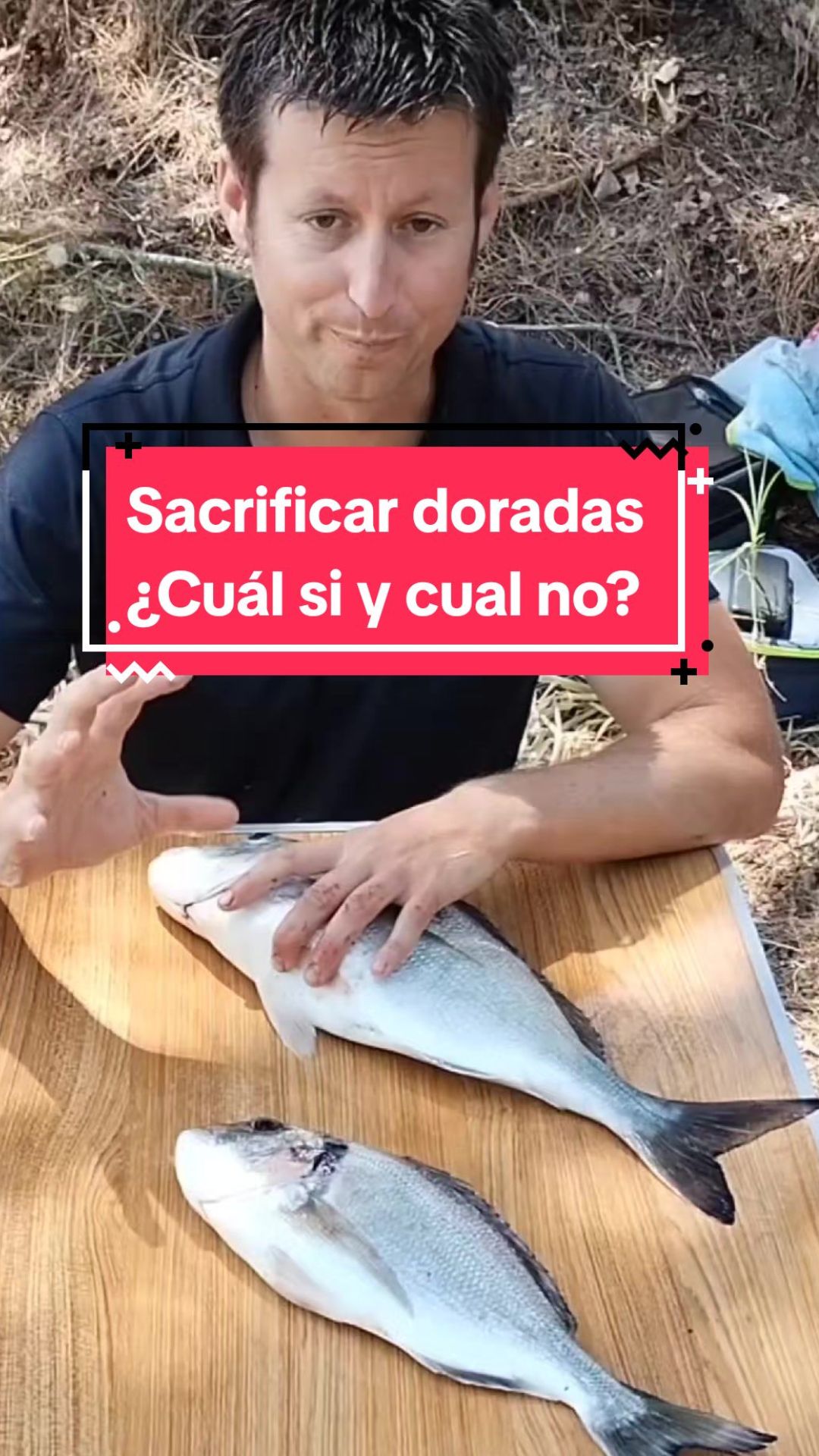Pesca responsable de dorada: lo que muchos no tienen en cuenta