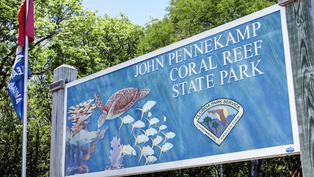 Florida's coral reefs, wildlife, and conservation challenges