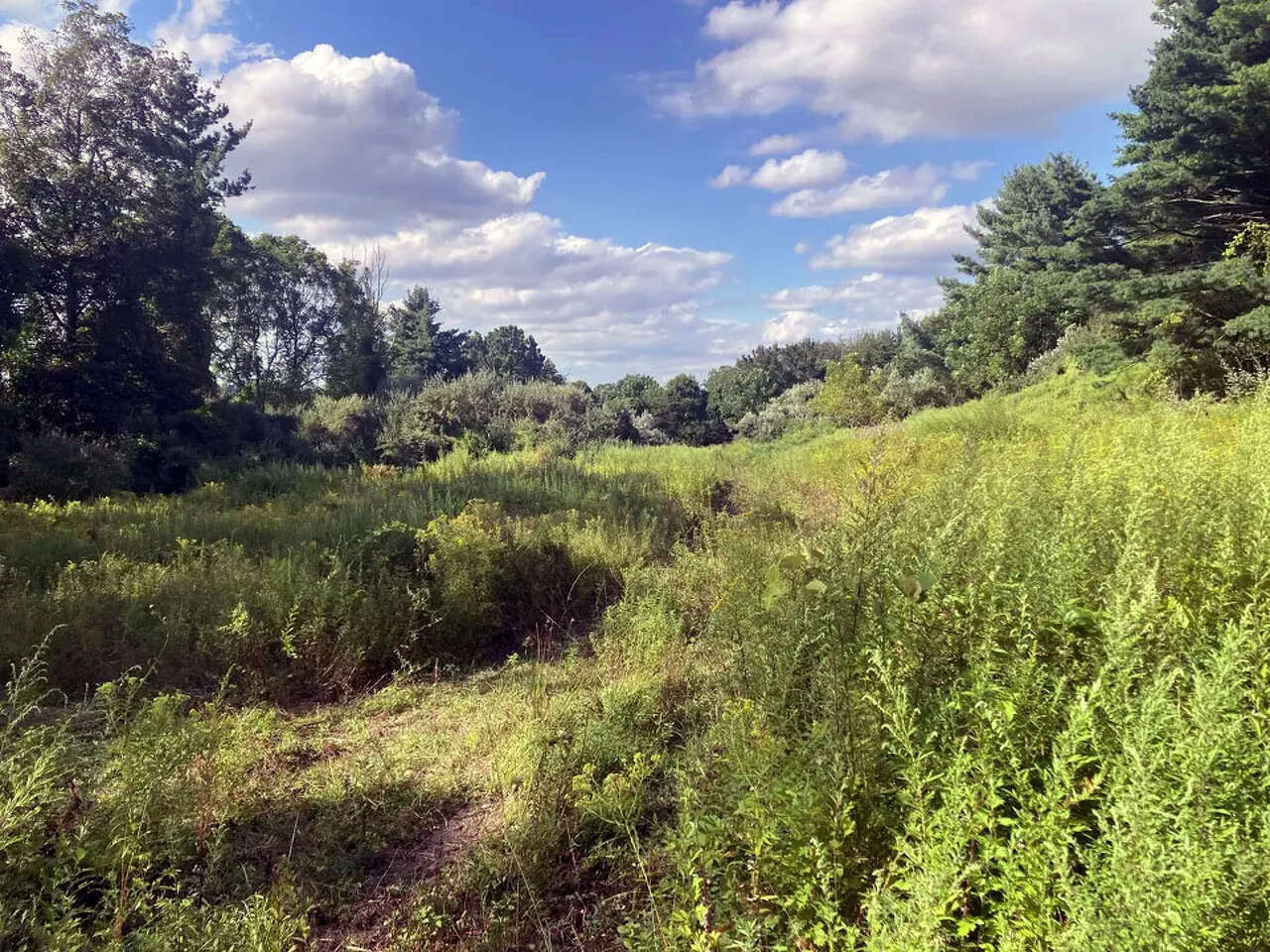 Why a Newtown entrepreneur wants to encircle his soccer site with ...