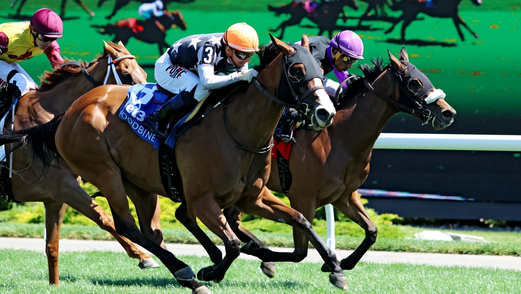 7 remarkable horse breeds from the United States