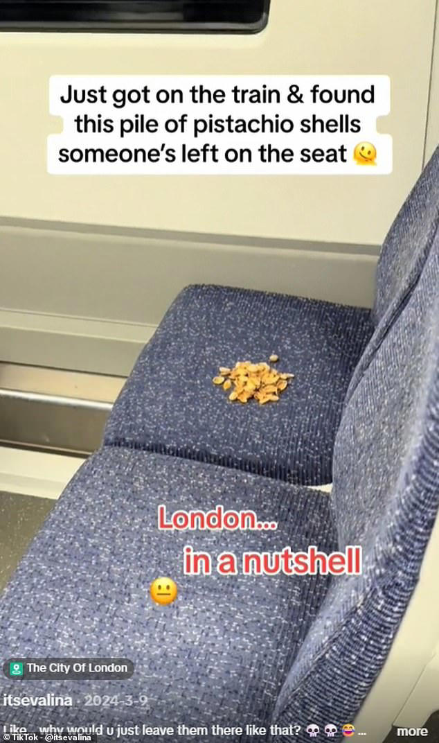 The infuriating train passenger everyone hates - are you a dreaded ...