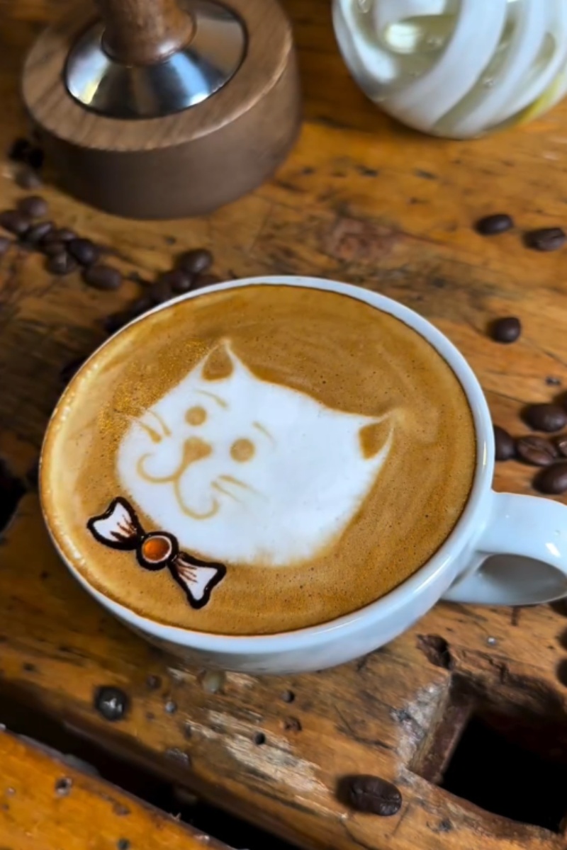 Gato bonito arte do café com leite design
