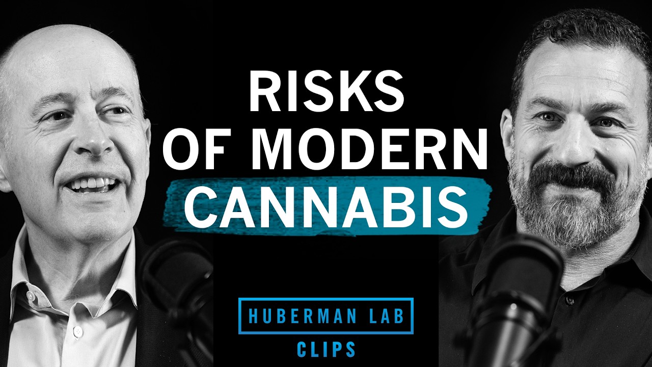 How dangerous is modern cannabis? | Dr. Keith Humphreys & Dr. Andrew ...