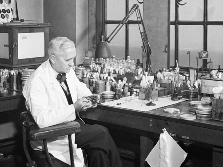 In 1928, a bacteriologist returned to a messy lab bench and found the ...