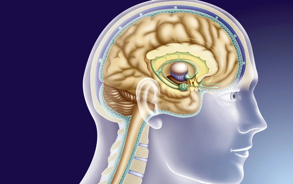 How self-reflection rewires your mind and life
