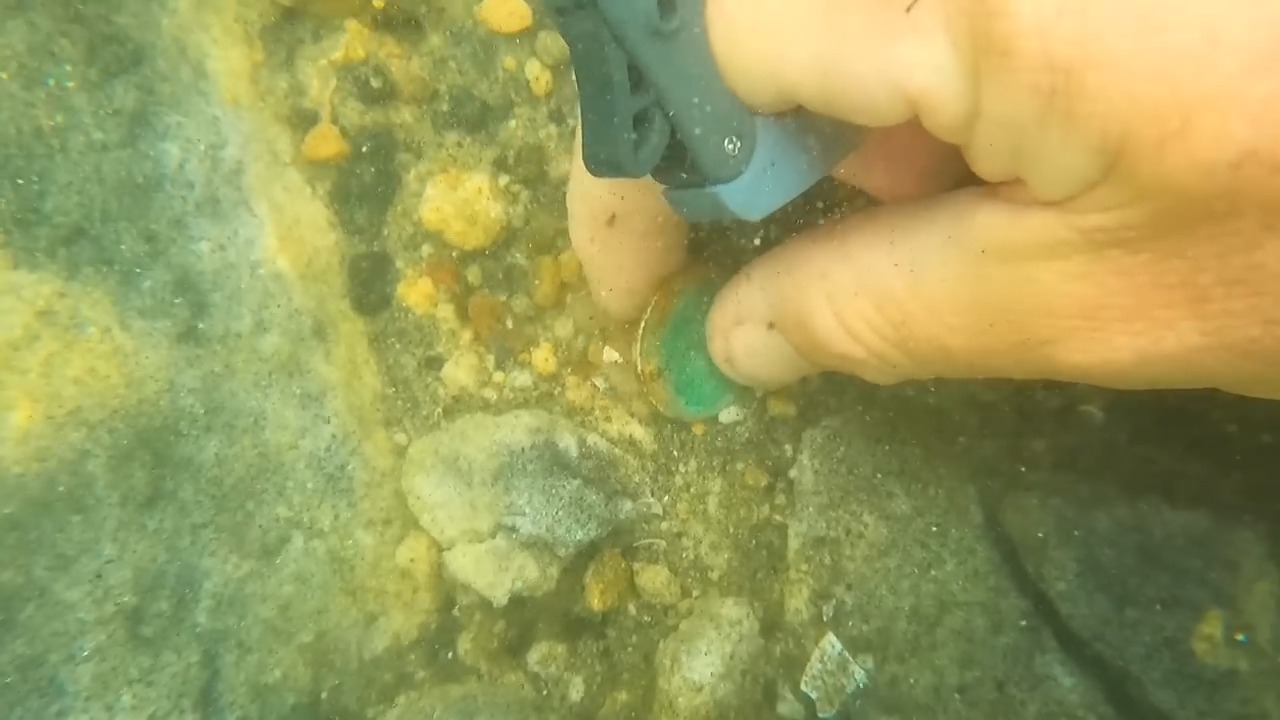 A deadly snake was near the search, “Respect them,” then he went ...