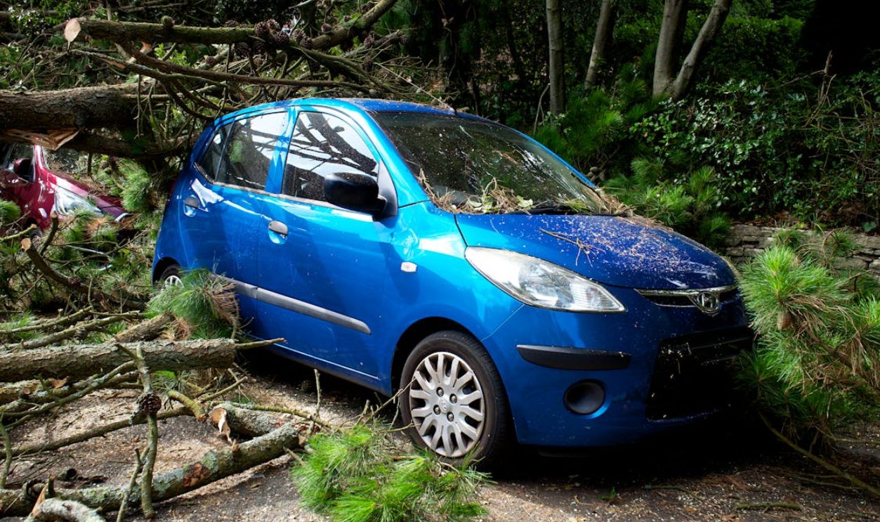 My neighbor's tree damaged my parked car, but he refuses to pay for it ...