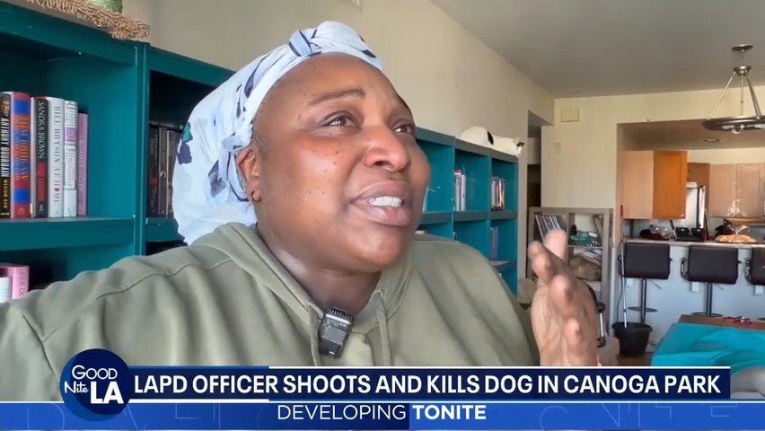 Police shoot family dog dead after Knicks celebration