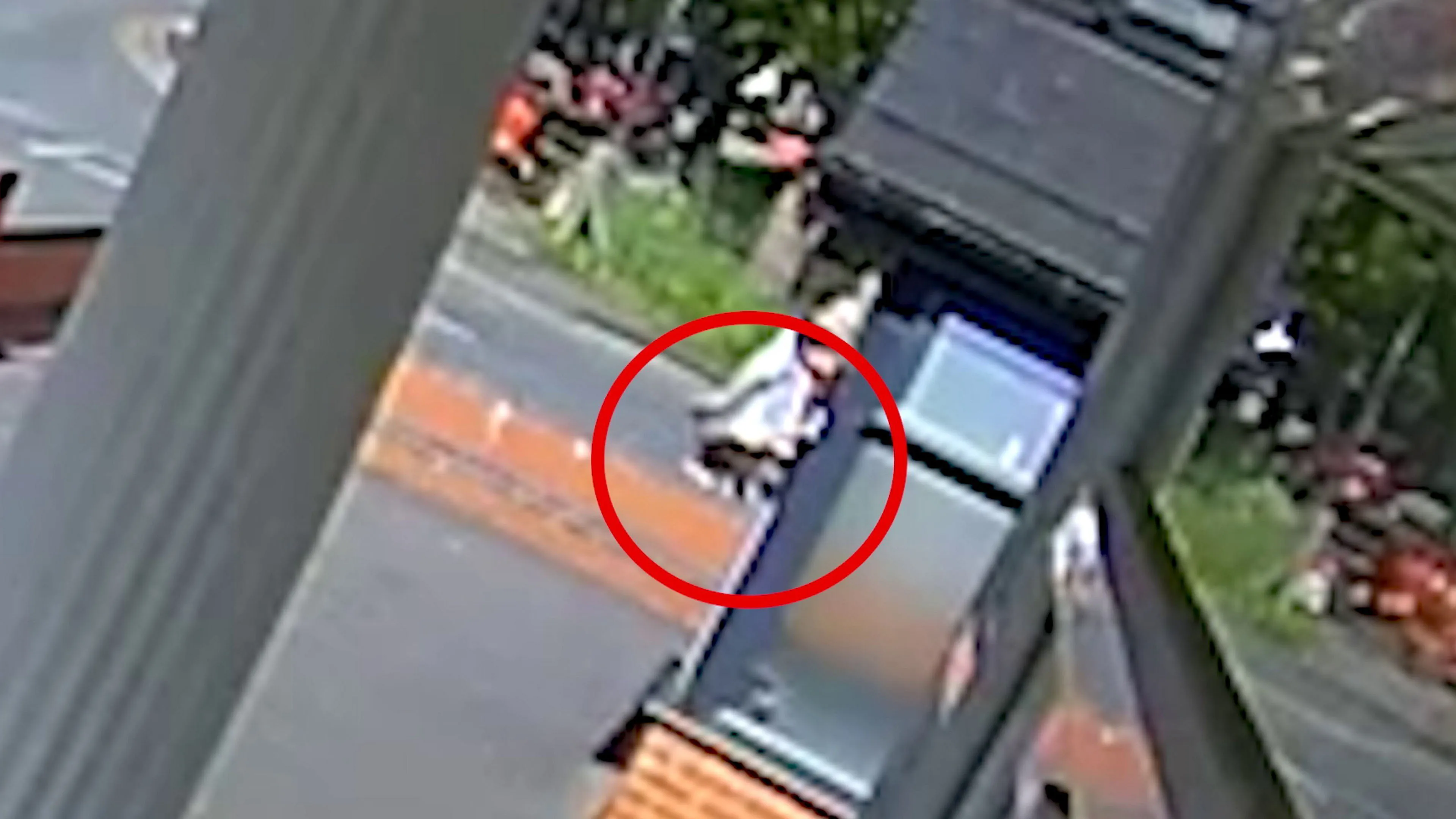 Cat snatched from drive on Ring doorbell footage before found dead ...