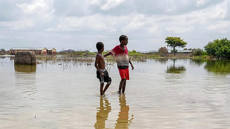 Nearly all children are exposed to the lasting health impacts of ...