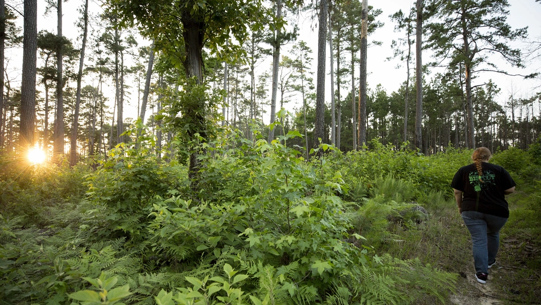 6 scenic trails and natural landmarks in East Texas