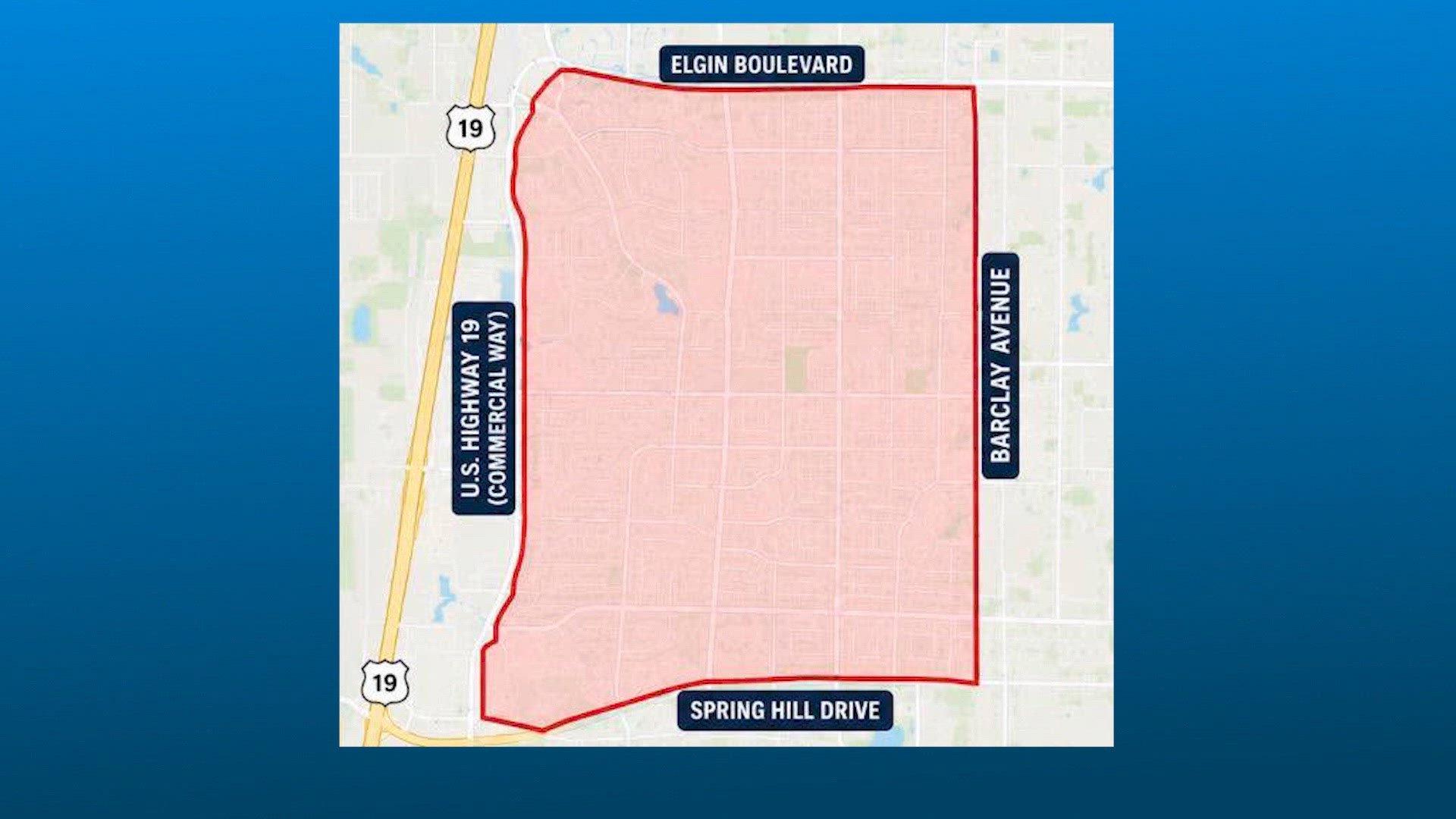Polk and Hernando counties warn about rabies encounters after two cats ...