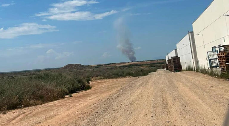 Un incendio agrícola provoca una gran columna de humo en Ausejo