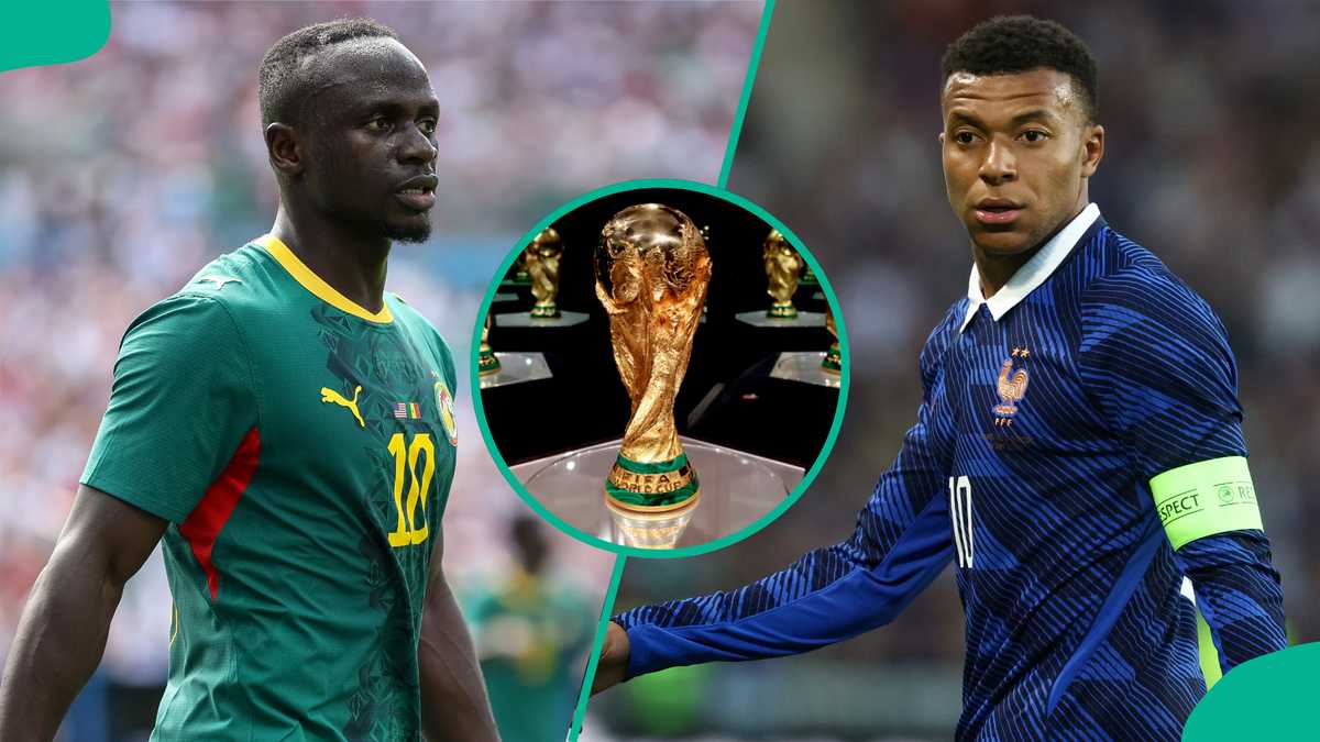 2026 FIFA World Cup: Mysterious cat predicts Group I match between ...