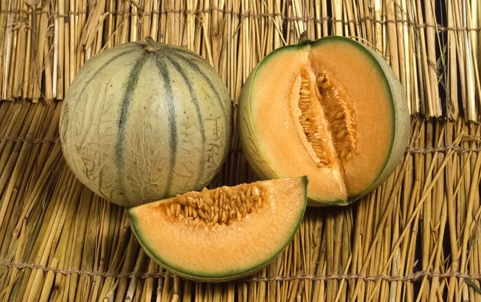 Melons Lidl et Aldi retirés pour pesticide