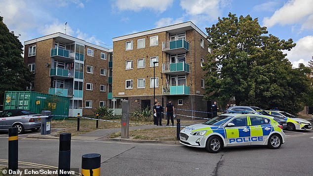 Woman, 25, fell to her death after 'machete-wielding teen' threatened ...