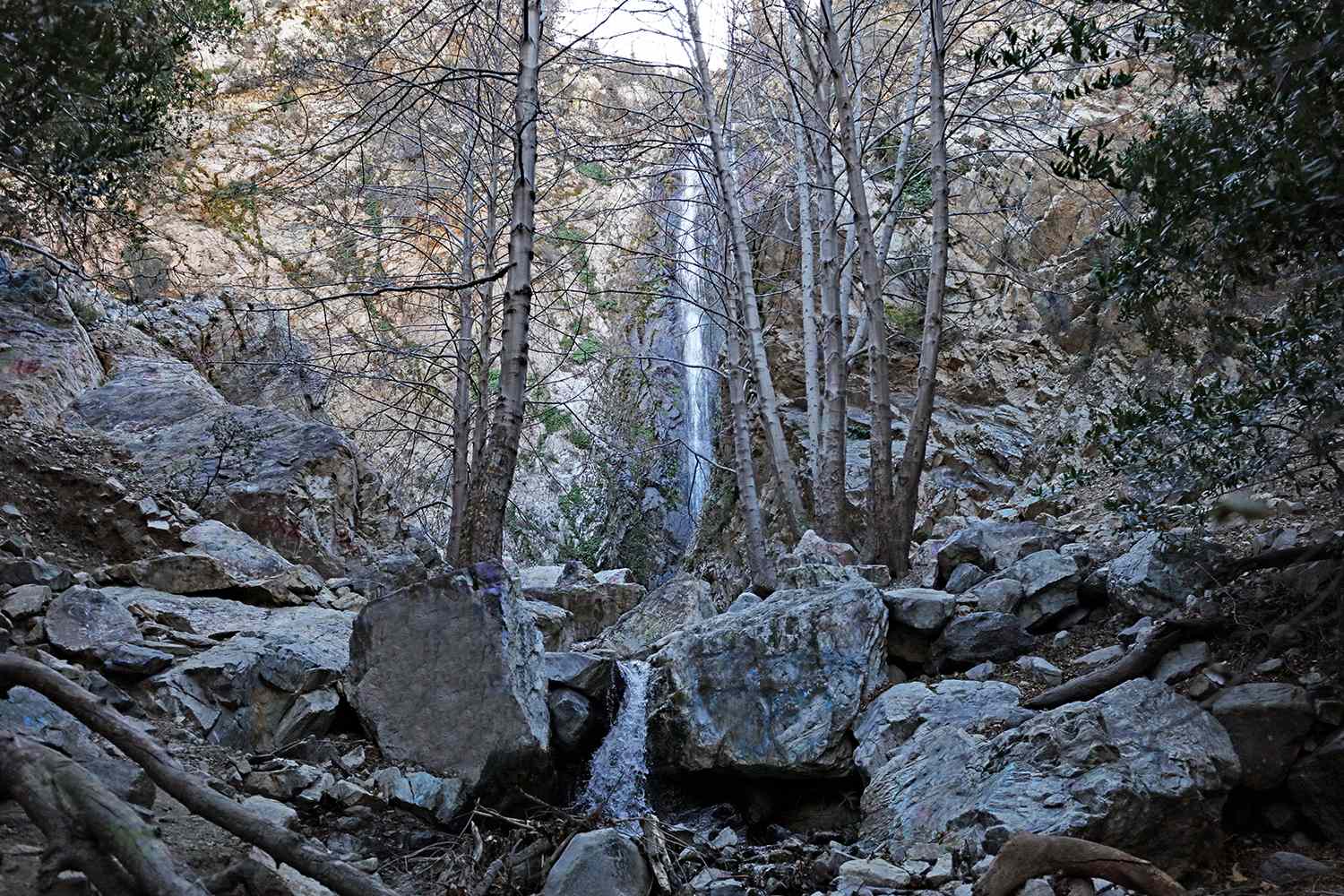 Woman, 52, dies after being struck on head by large boulder during hike ...