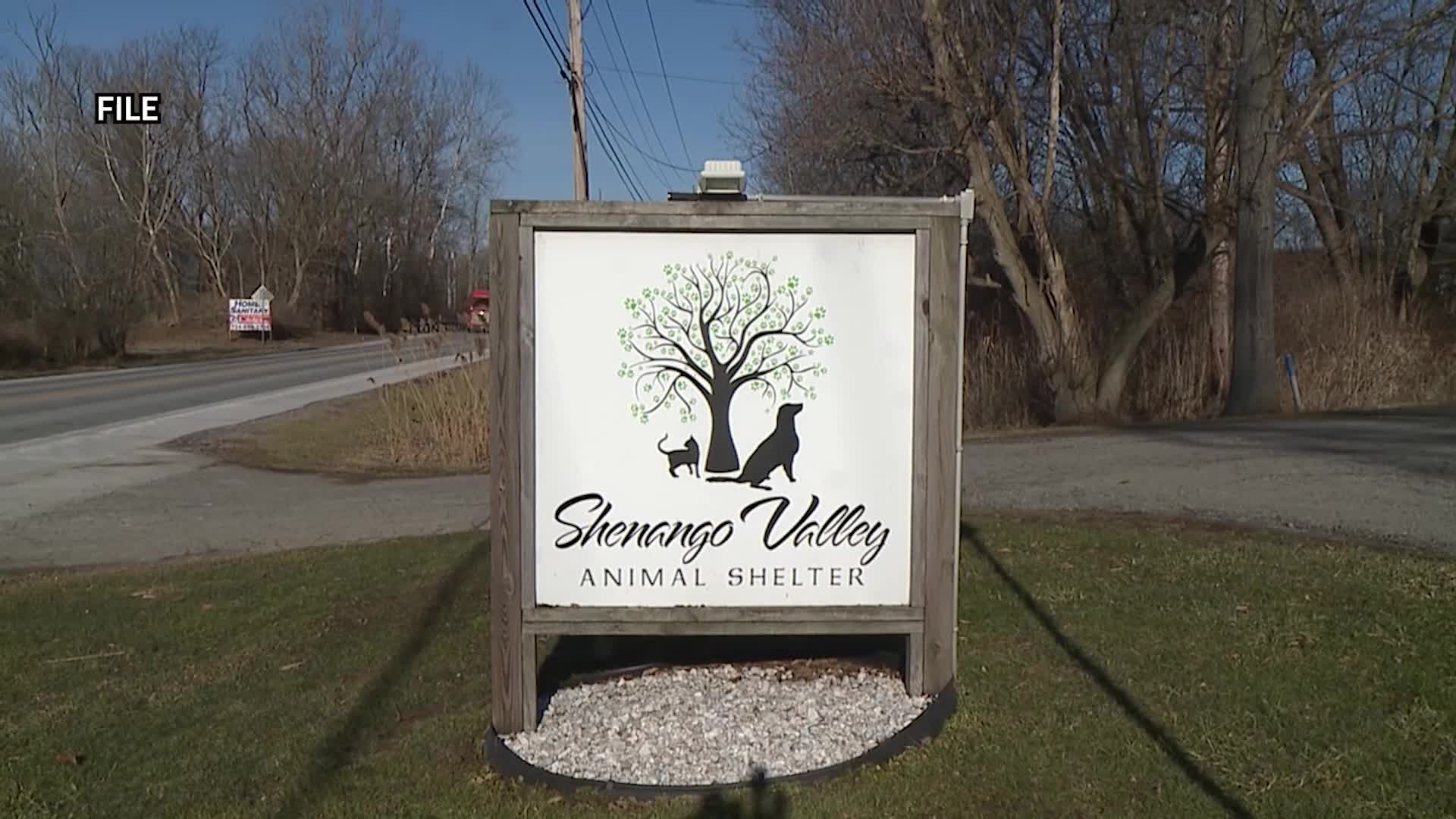 Scammer tries to swindle local animal shelter
