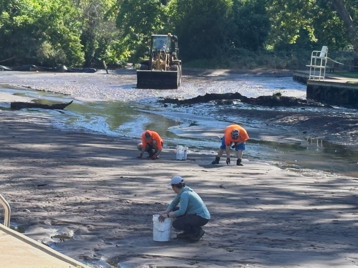 Big Chico Creek tests show no sign of E coli strain linked to 2025 ...