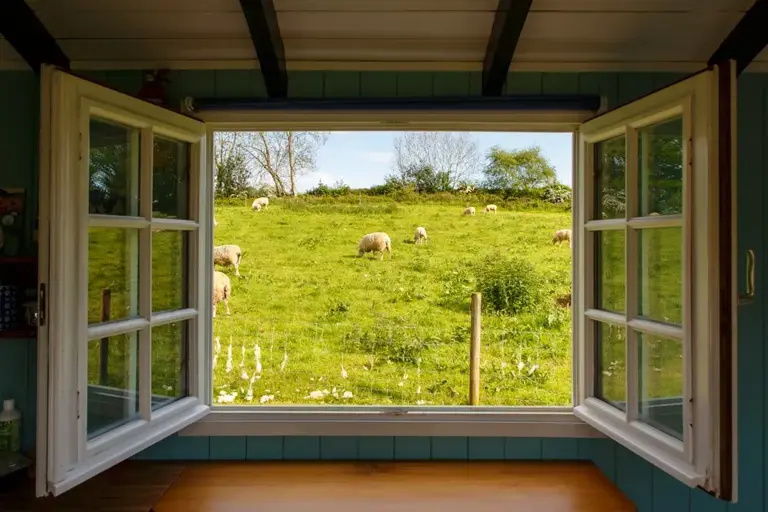 A home in summer should always have the windows open